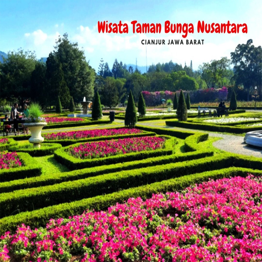 Wisata Taman Bunga Nusantara: Surga Bunga dengan Ribuan Keindahan Alam ...