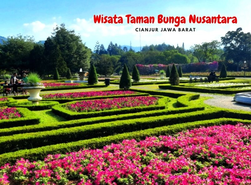 Wisata Taman Bunga Nusantara: Surga Bunga dengan Ribuan Keindahan Alam - Mandiri Travel